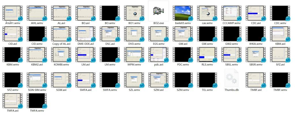 BMW Programming/Coding/Flashing Beginner Video+PDF Guide